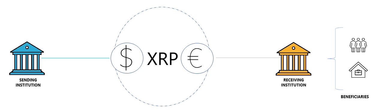 What is XRP(Ripple) and How Does it Work? | MrCryptoz
